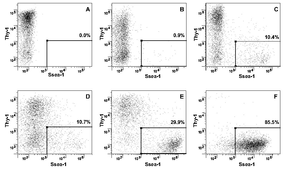 Cell Surface Marker Mediated Purification Of Ips Cell Intermediates